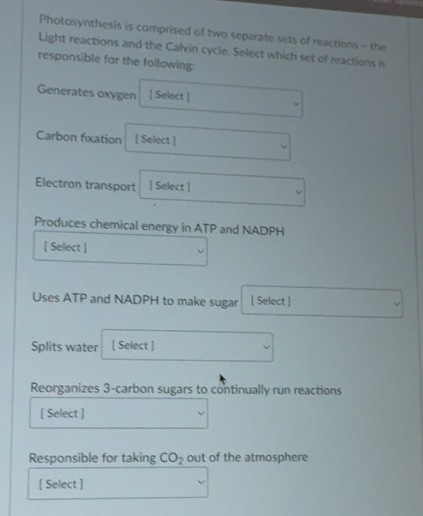 Solved: Photosynthesis is comprised of two separate sets of reactions ...