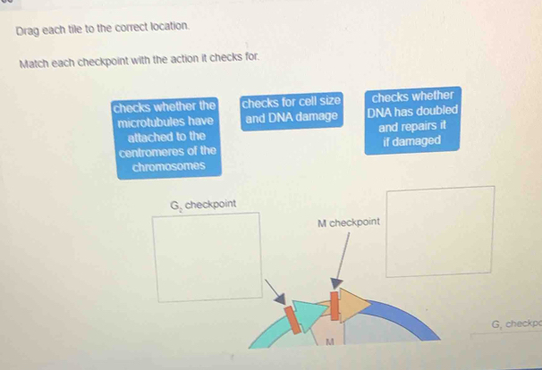 Solved: Drag each tile to the correct location. Match each checkpoint with the action it checks ...