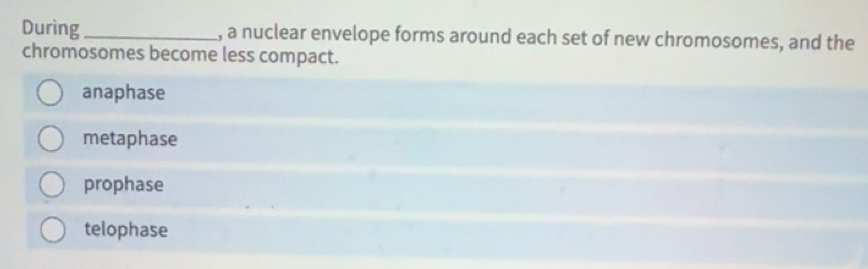 Solved: During _, a nuclear envelope forms around each set of new ...