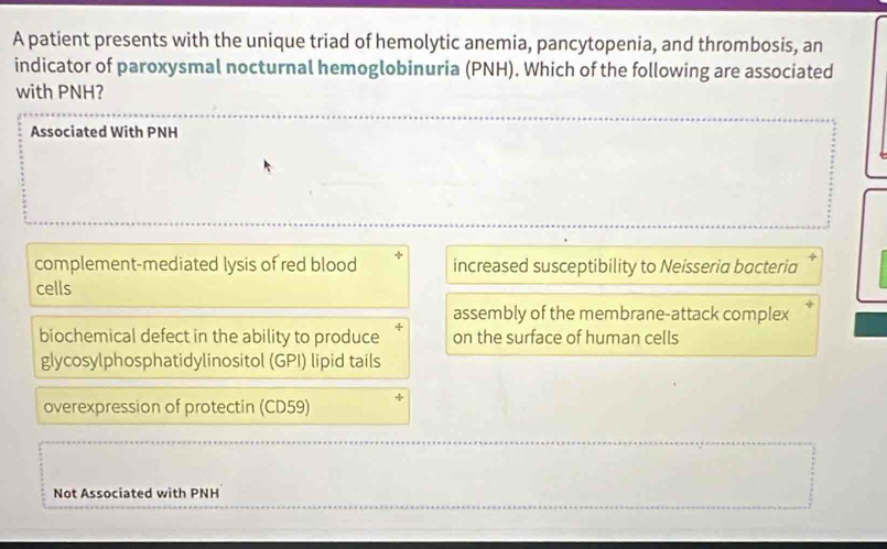 Solved: A patient presents with the unique triad of hemolytic anemia ...
