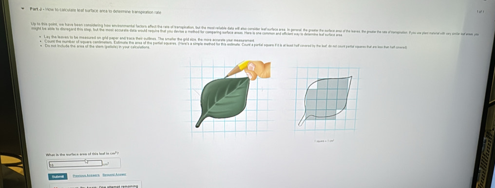 Solved: How to calculate leaf surface area to determine transpiration ...