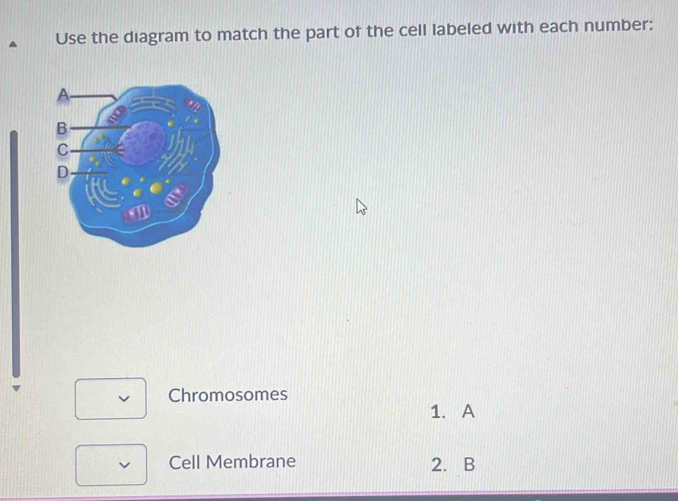 Solved: Use the diagram to match the part of the cell labeled with each ...
