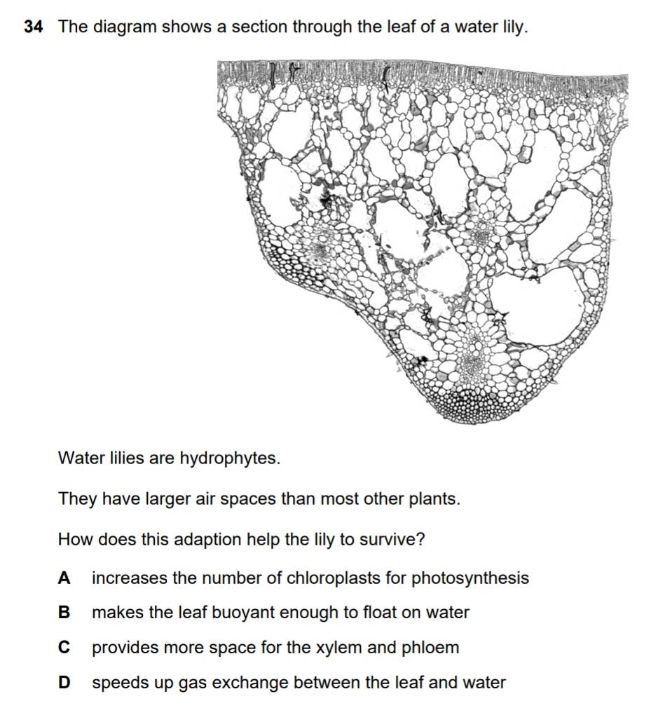 Selesai:The diagram shows a section through the leaf of a water lily ...