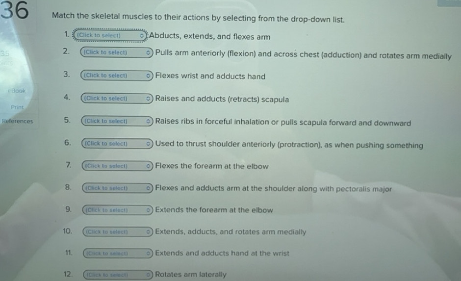 Solved: Match the skeletal muscles to their actions by selecting from ...