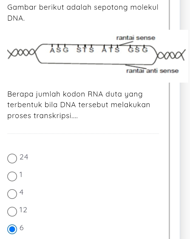 Telah dijawab:Gambar berikut adalah sepotong molekul DNA. Berapa jumlah ...