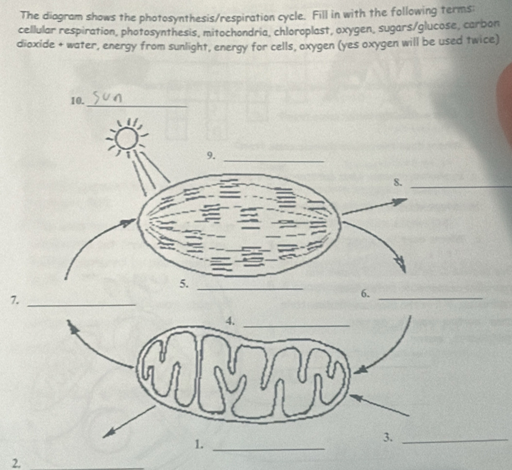 Solved: The diagram shows the photosynthesis/respiration cycle. Fill in ...