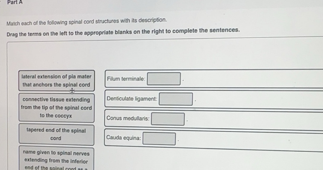 Solved: Match each of the following spinal cord structures with its ...