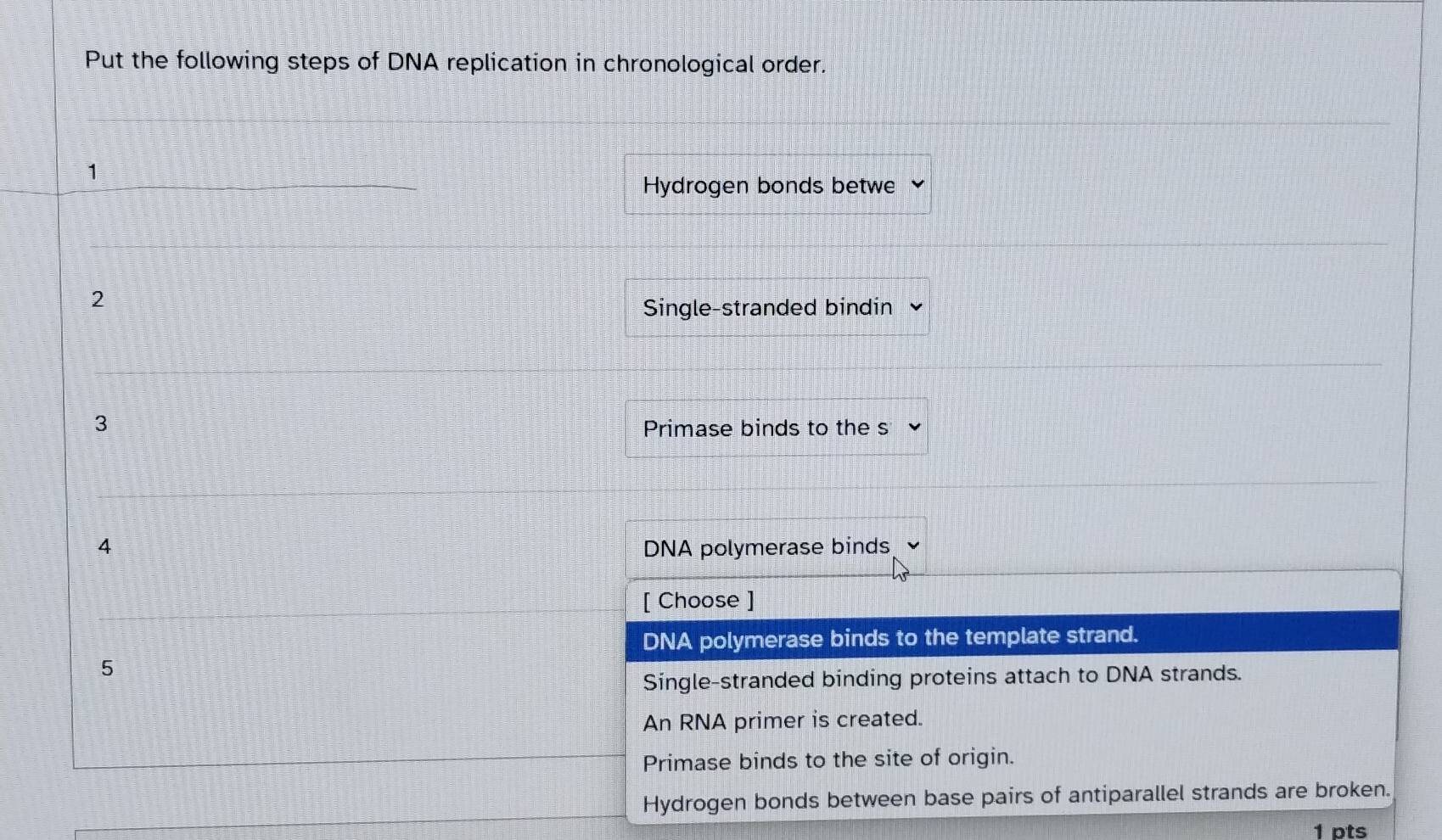 Solved: Put the following steps of DNA replication in chronological ...
