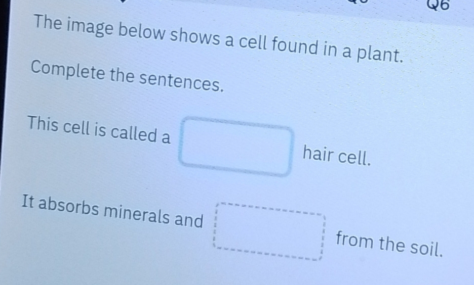 Solved: The image below shows a cell found in a plant. Complete the ...