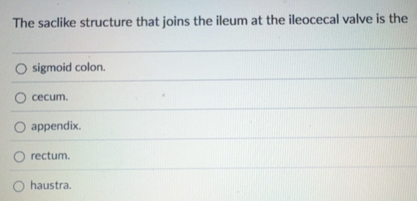 Solved: The saclike structure that joins the ileum at the ileocecal ...