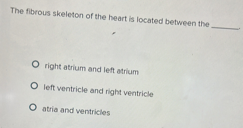 Solved: The fibrous skeleton of the heart is located between the ...