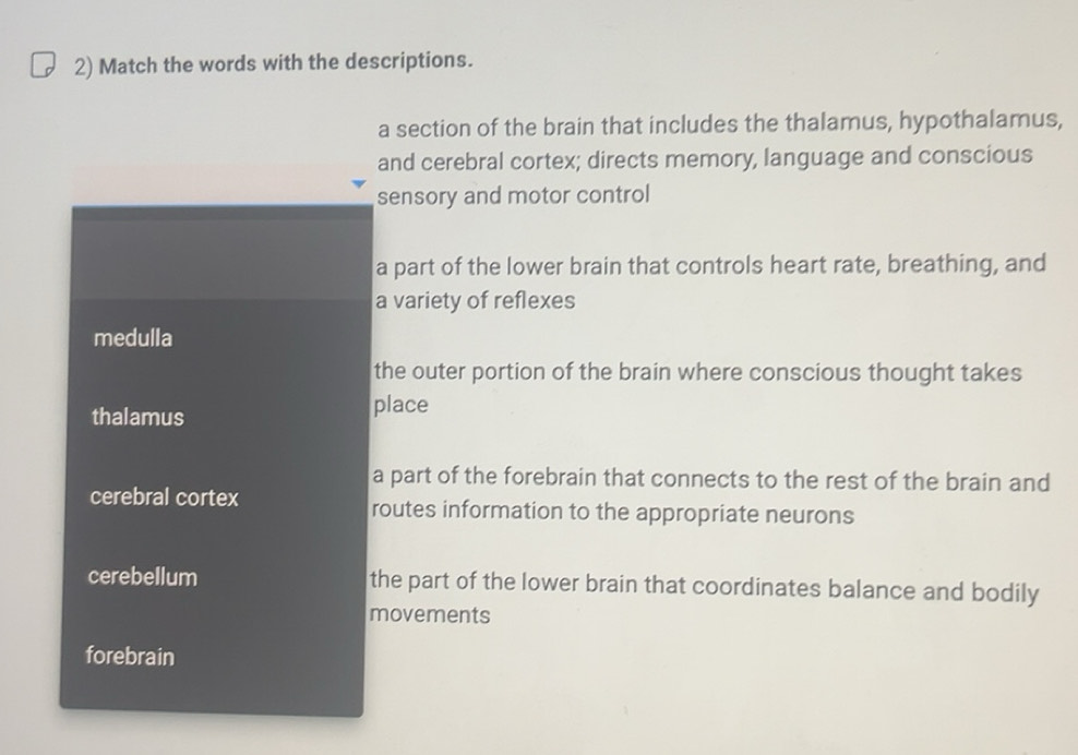 Solved: Match the words with the descriptions. a section of the brain ...