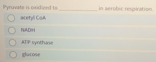 Resuelto:Pyruvate is oxidized to _in aerobic respiration. acetyl CoA ...