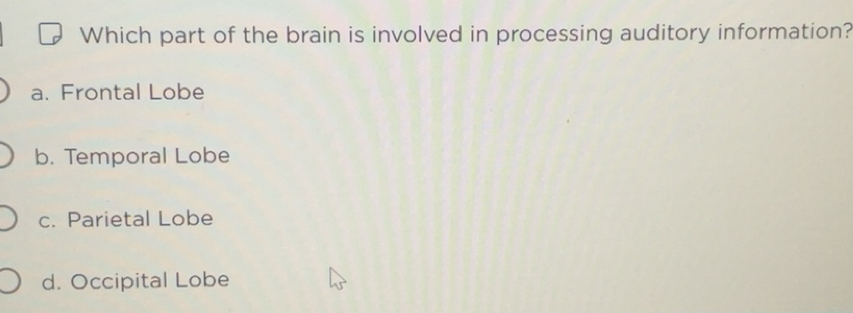 Resuelto:Which part of the brain is involved in processing auditory ...