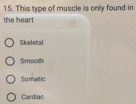 Resuelto:This type of muscle is only found in the heart Skeletal Smooth ...
