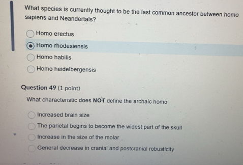 Solved: What species is currently thought to be the last common ...
