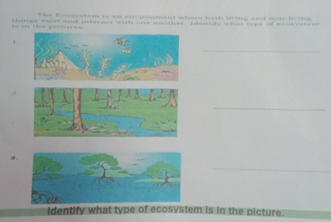 Solved: The Ecosystem is an environment where both living and non ...
