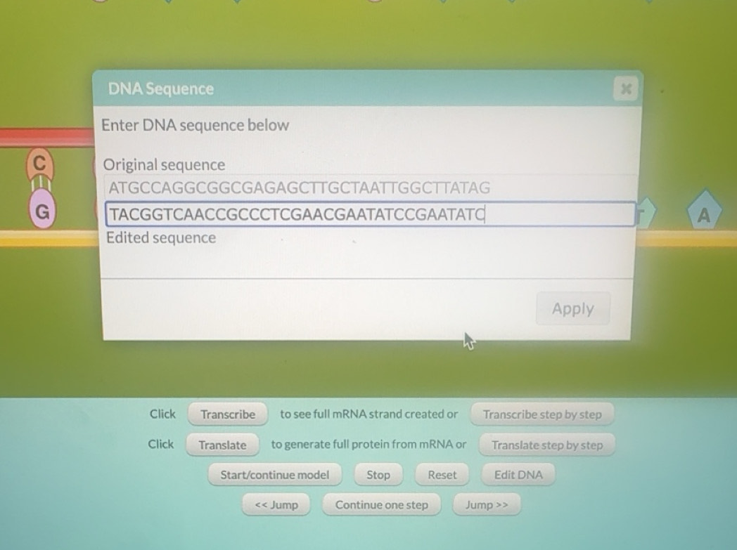 Resuelto:DNA Sequence Enter DNA sequence below C Original sequence m ...