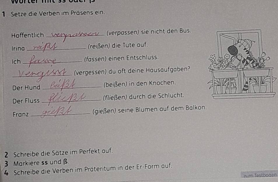 Franz Nach Art Von 2 Worter