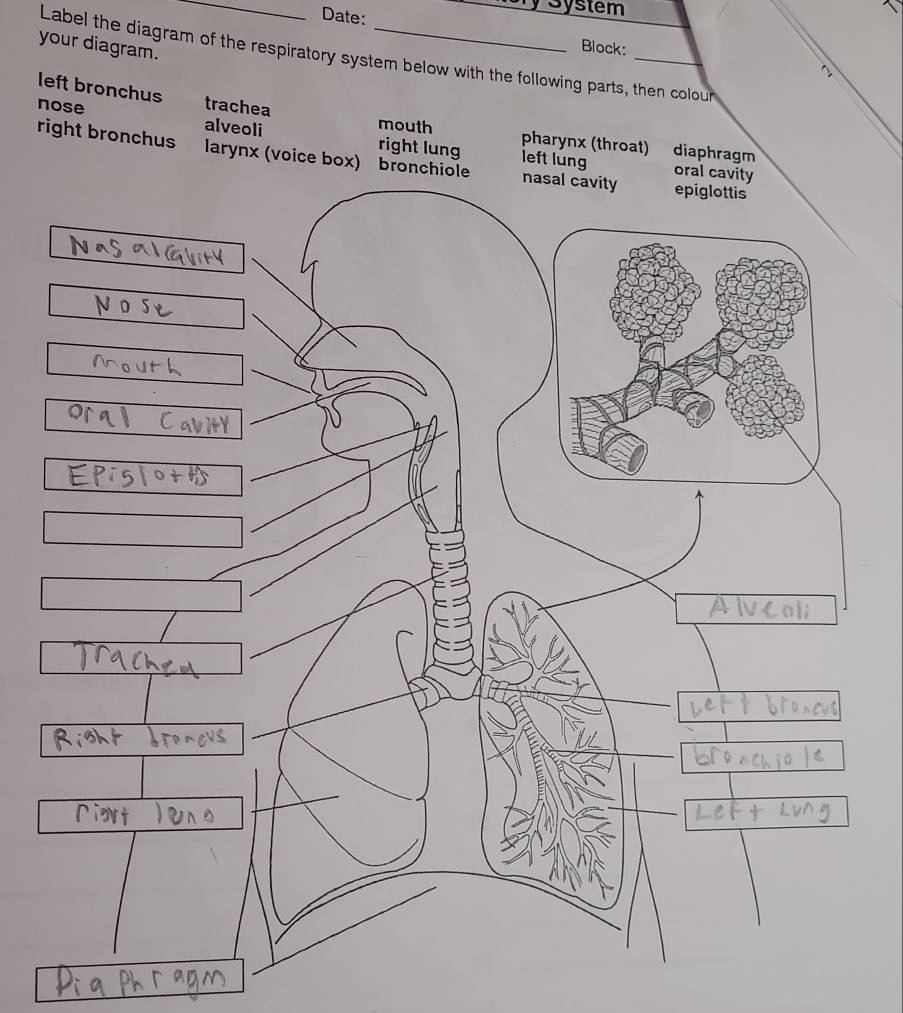 Solved: System Date: Block: your diagram. Label the diagram of the ...