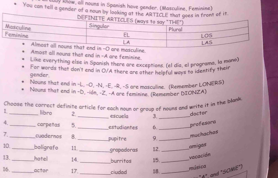 Solved: cddy know, all nouns in Spanish have gender. (Masculine ...