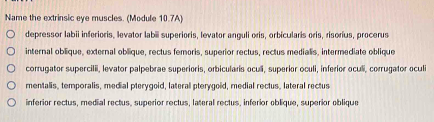 Solved: Name the extrinsic eye muscles. (Module 10.7A) depressor labii ...
