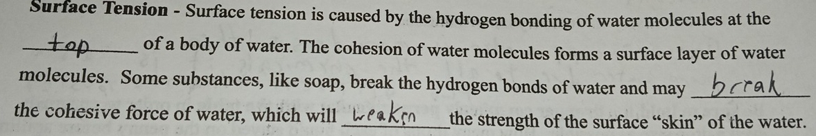 Solved: Surface Tension - Surface tension is caused by the hydrogen ...