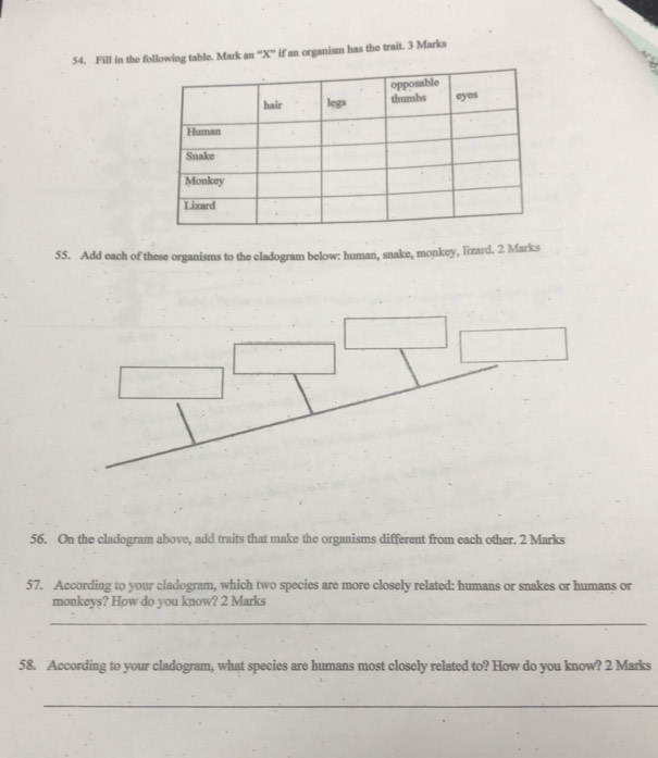 Solved: Fill in the following table. Mark an '' X '' if an organism has ...
