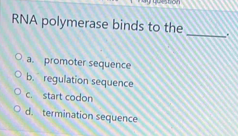 Solved: question RNA polymerase binds to the _. a. promoter sequence b ...