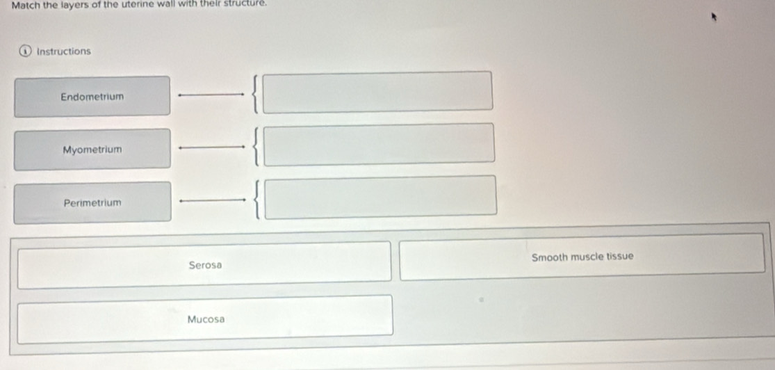 Solved: Match the layers of the uterine wall with their structure ...