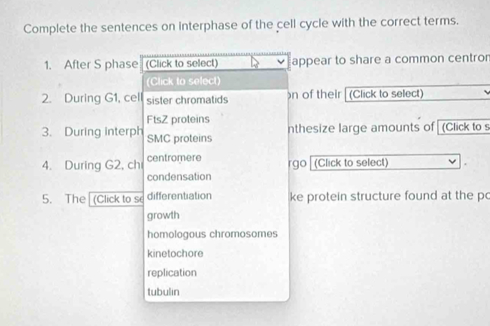 Solved: Complete the sentences on interphase of the cell cycle with the ...