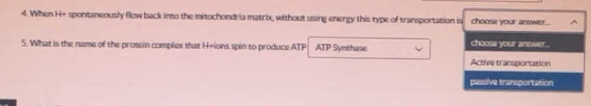 Solved: When H+ spontaneously flow back into the mitochondria matrix ...
