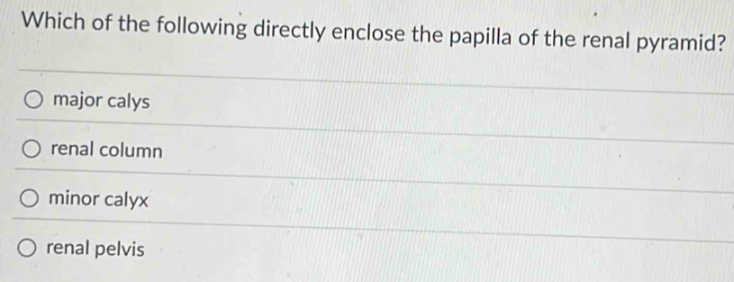 Solved: Which of the following directly enclose the papilla of the ...