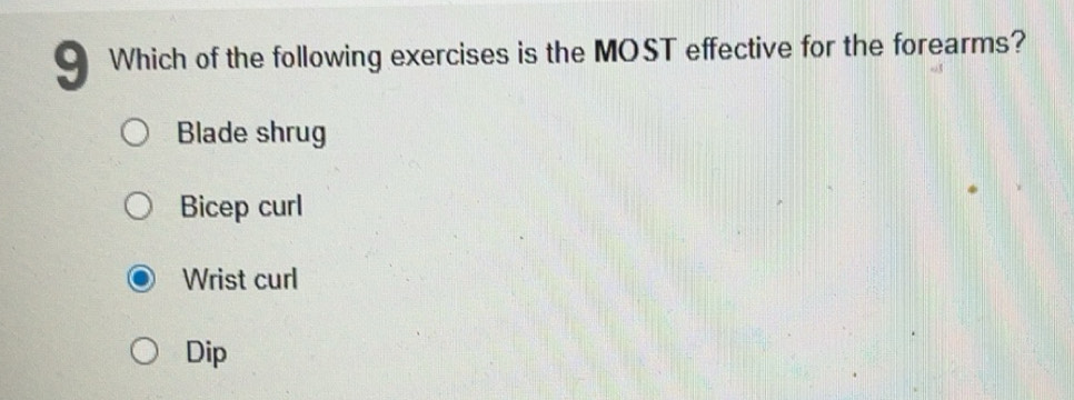 Solved: Which of the following exercises is the MOST effective for the ...