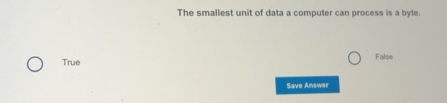 Solved: The smallest unit of data a computer can process is a byte ...
