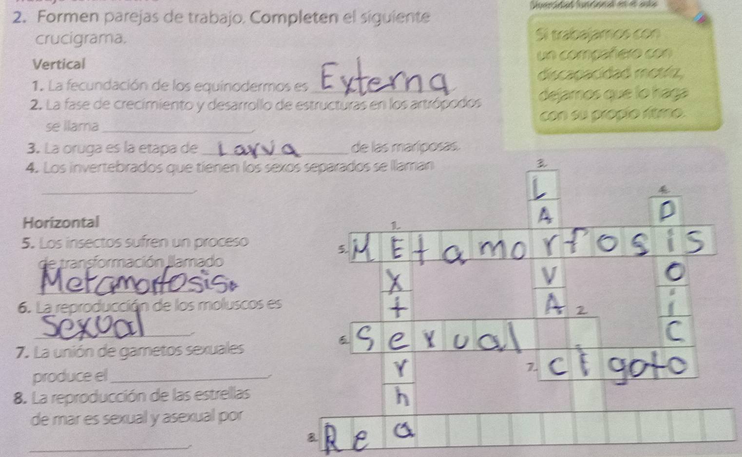 Resuelto:Sonadal funcional en el ata 2. Formen parejas de trabajo ...