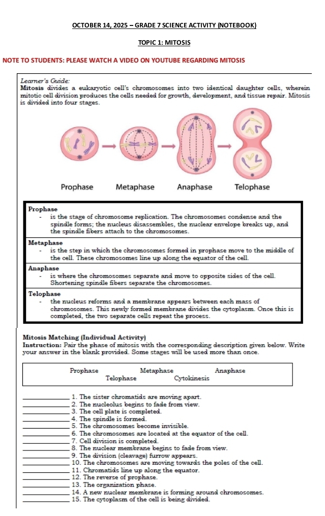 Solved: OCTOBER 14, 2025 - GRADE 7 SCIENCE ACTIVITY (NOTEBOOK) TOPIC 1 ...
