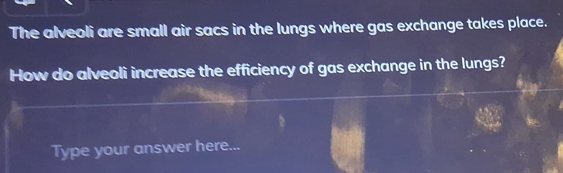 Solved: The alveoli are small air sacs in the lungs where gas exchange ...