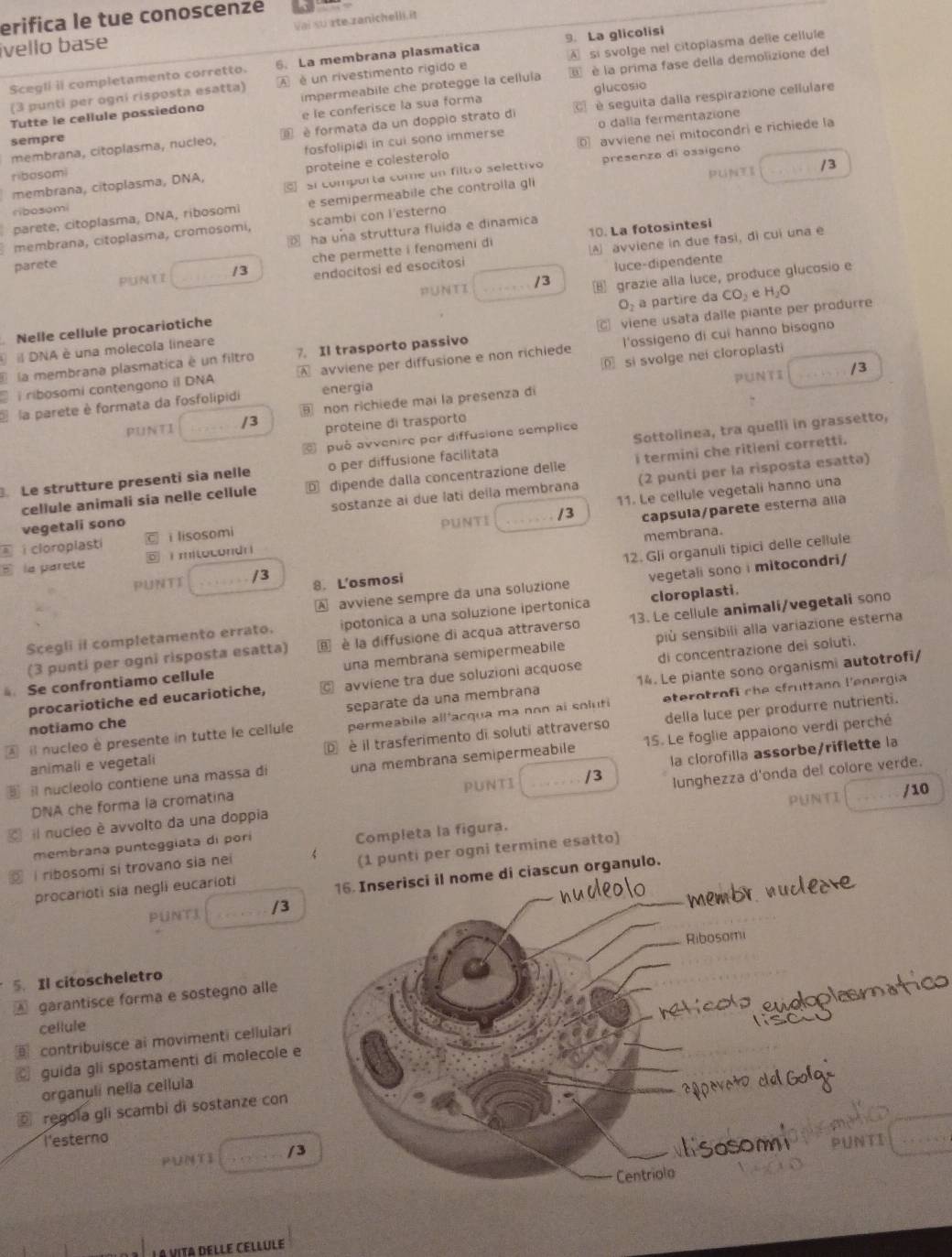 Risolto:erifica le tue conoscenzé ivello base V r rte zanichellt it ...