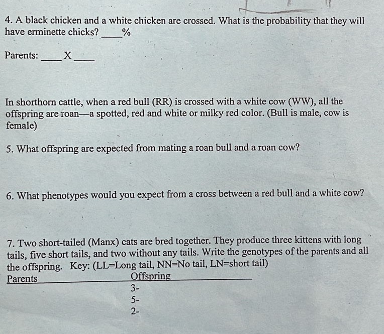 Solved: A black chicken and a white chicken are crossed. What is the ...