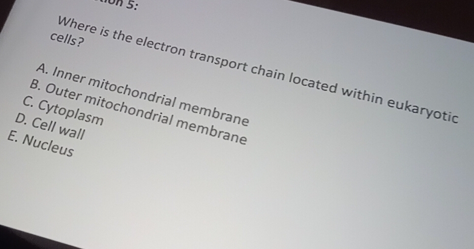 Risolto:cells? Where is the electron transport chain located within ...