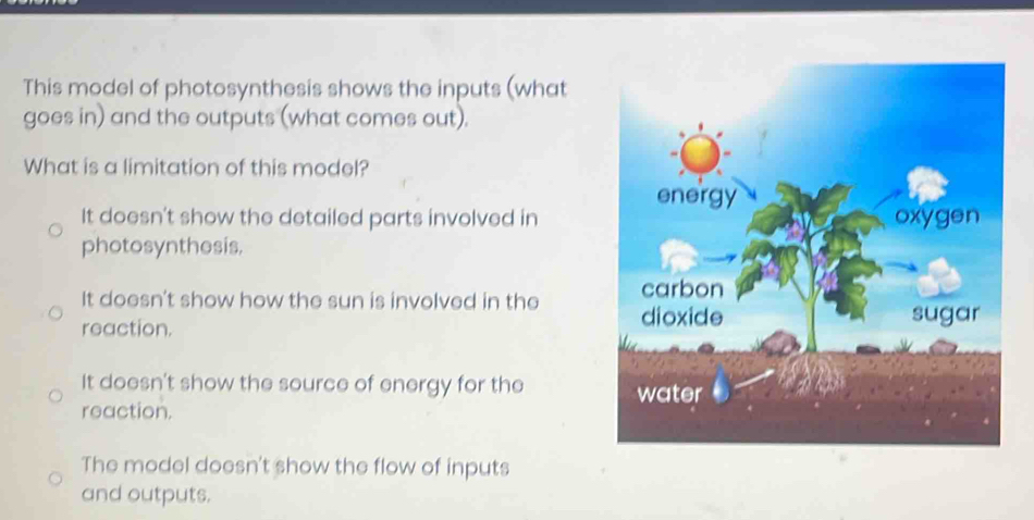 Solved: This model of photosynthesis shows the inputs (what goes in ...