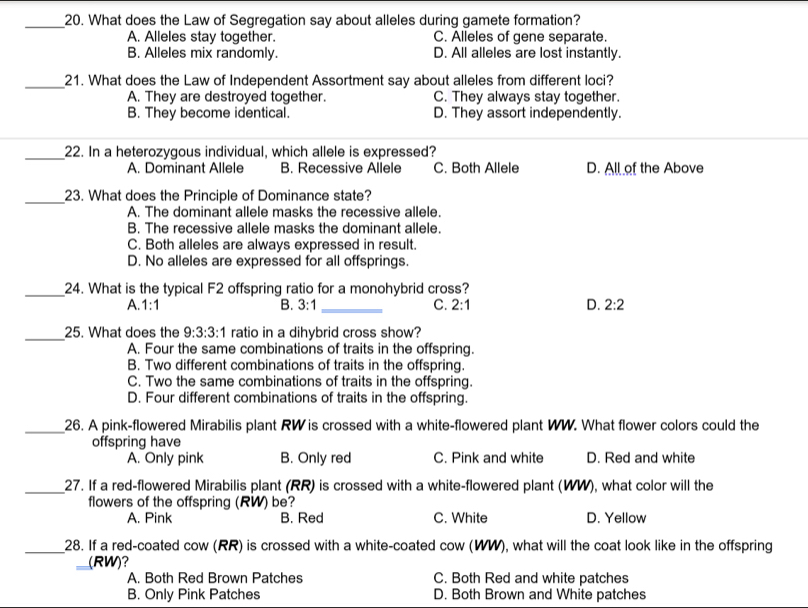 Solved: What does the Law of Segregation say about alleles during ...