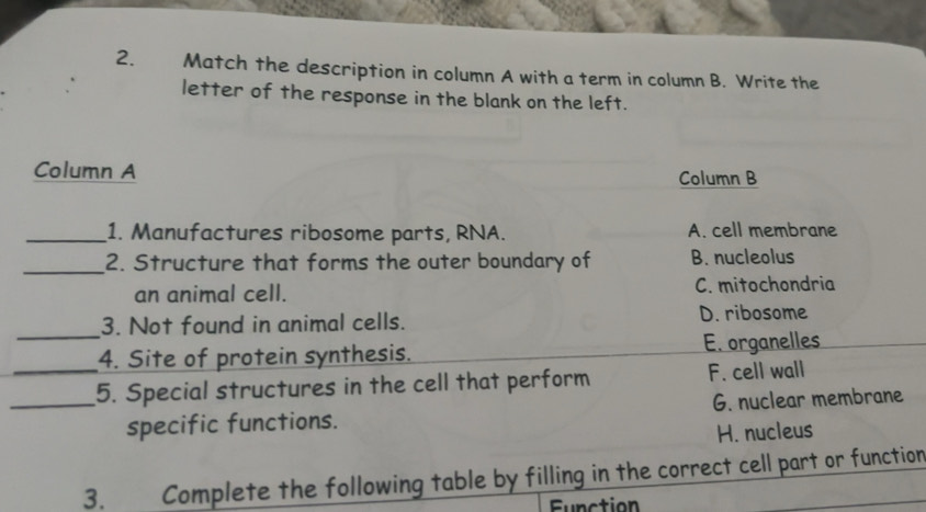 Solved: Match the description in column A with a term in column B ...
