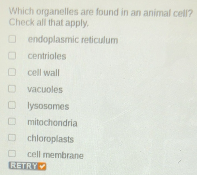 Gelöst:Which organelles are found in an animal cell? Check all that ...