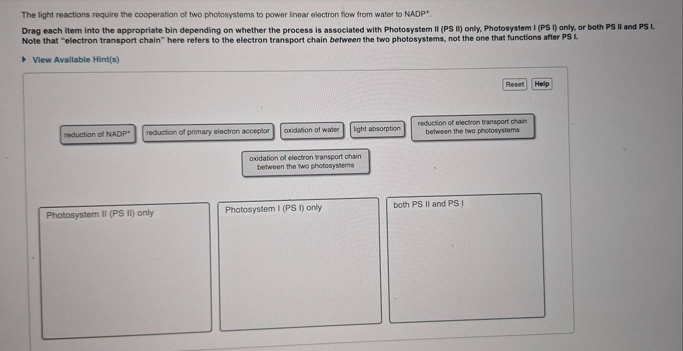 Solved: The light reactions require the cooperation of two photosystems ...