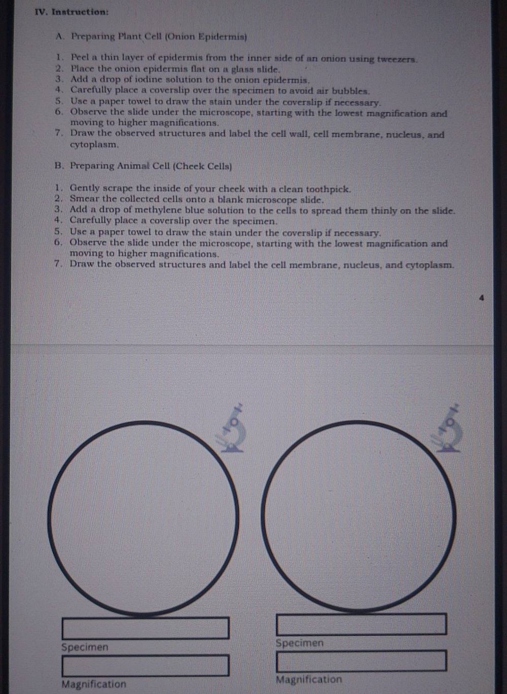 Solved: Instruction: A. Preparing Plant Cell (Onion Epidermis) 1. Peel ...