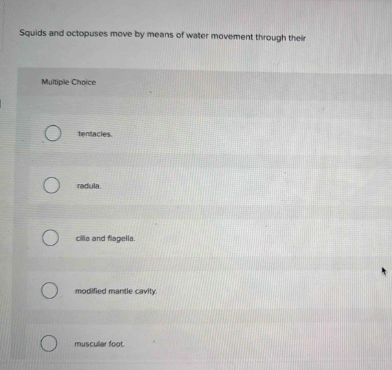 Solved: Squids and octopuses move by means of water movement through ...