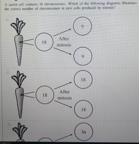 Solved: A carrot cell contains 18 chromosomes. Which of the following ...