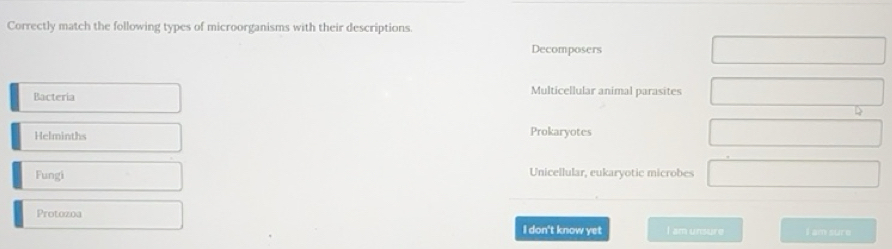 Solved: Correctly match the following types of microorganisms with their descriptions ...